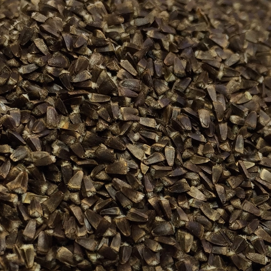 Motherwort, Official (Leonurus cardiaca) – Earthbeat Seeds