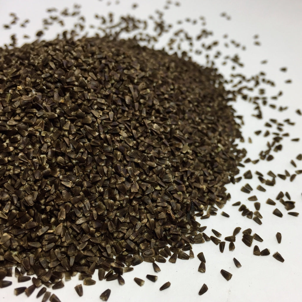 Motherwort, Official (Leonurus cardiaca) – Earthbeat Seeds